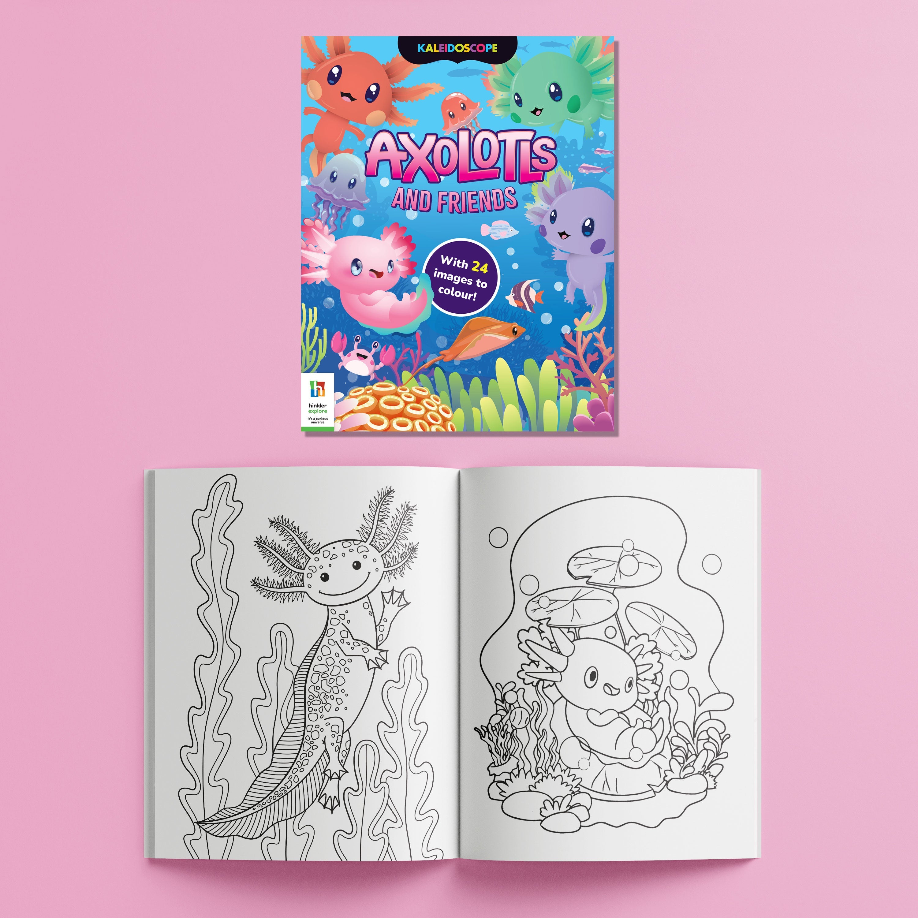 Axolotls & Friends Creative Colour and Activity Set