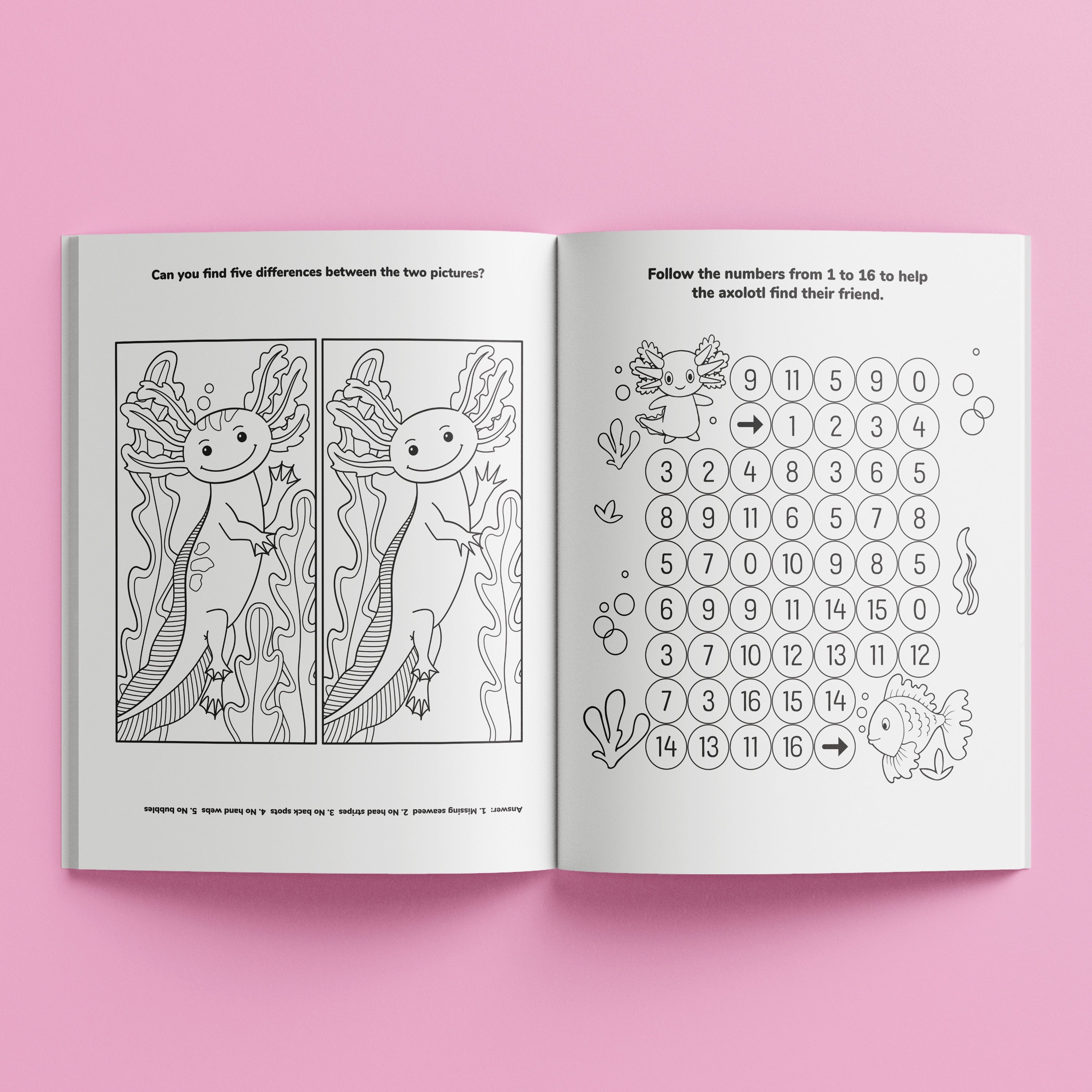 Axolotls & Friends Creative Colour and Activity Set