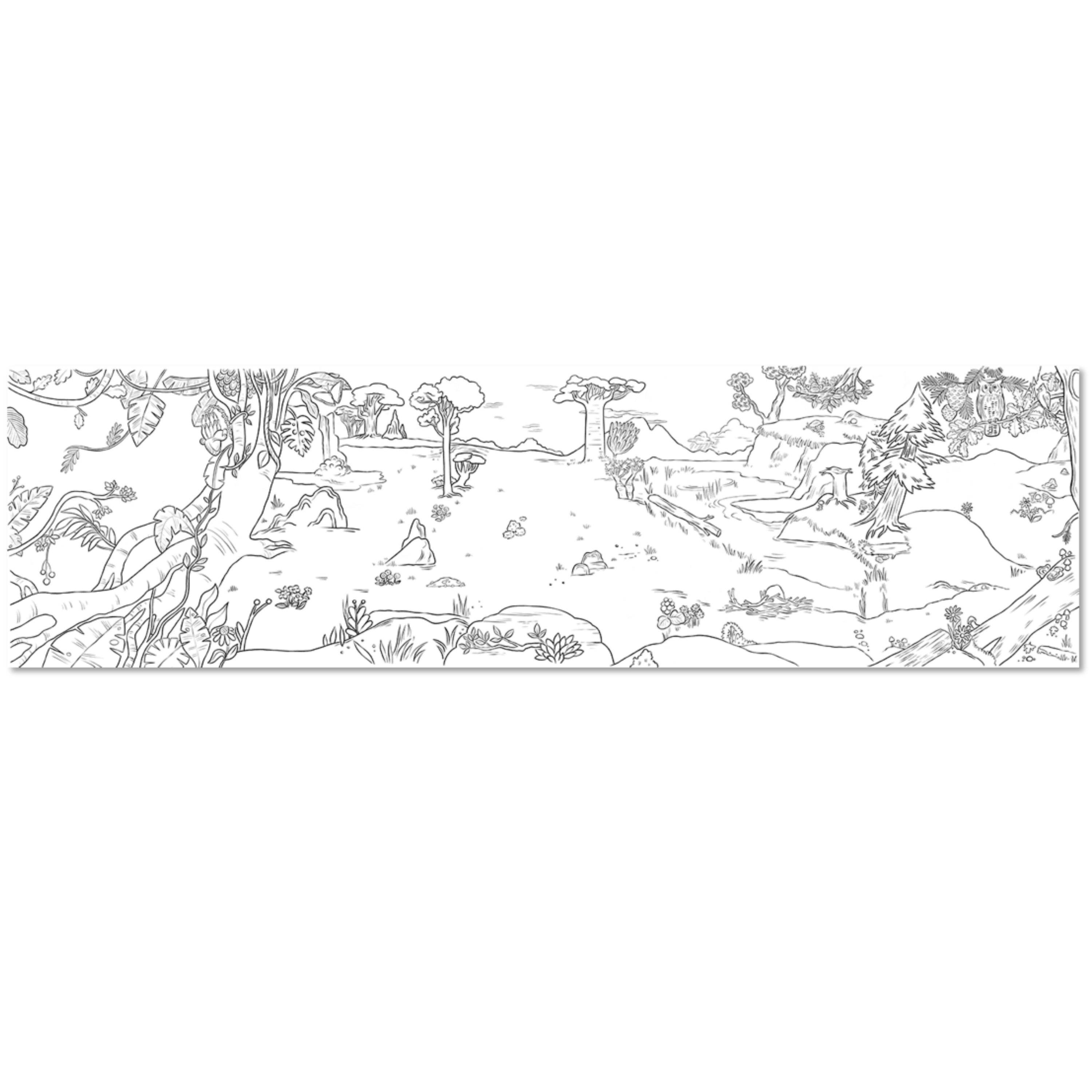 eeBoo Fold-Out Coloring Book - Wild Things