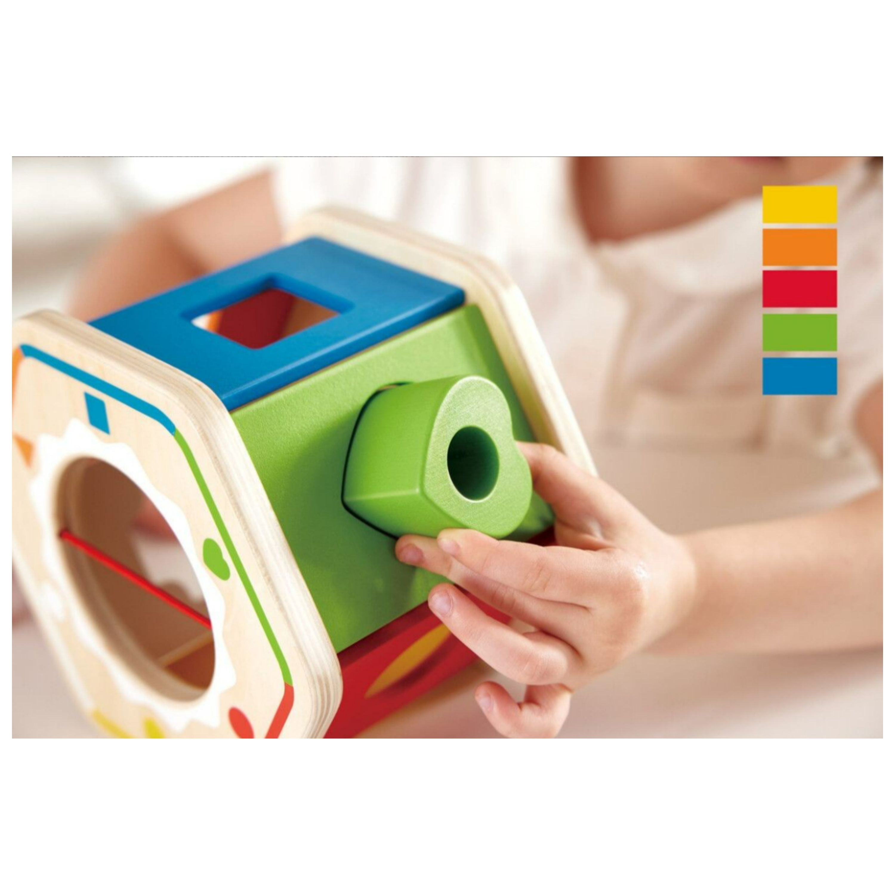 Hape Color Matching & Shape Sorting Box