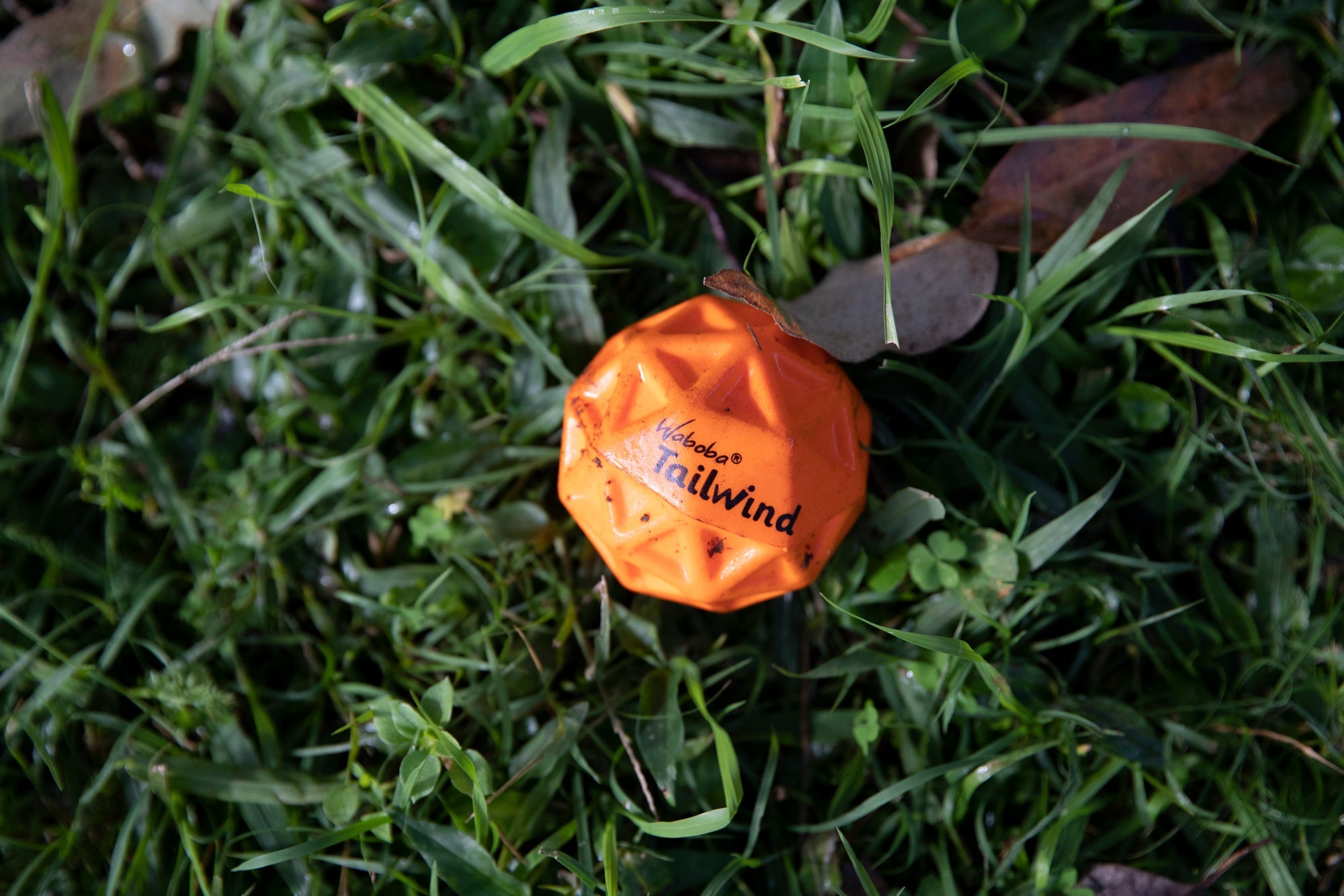 Waboba Woofgames Tailwind