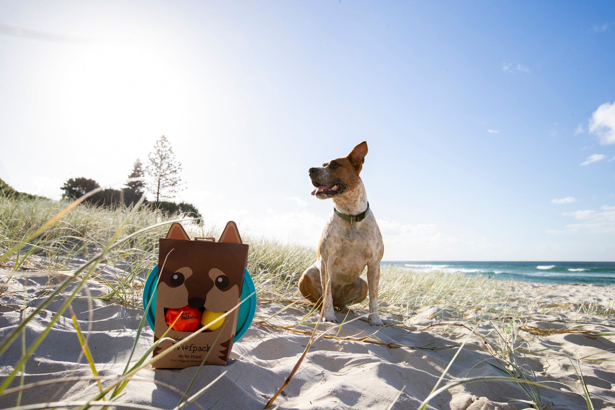 Waboba Woofgames Woofpack