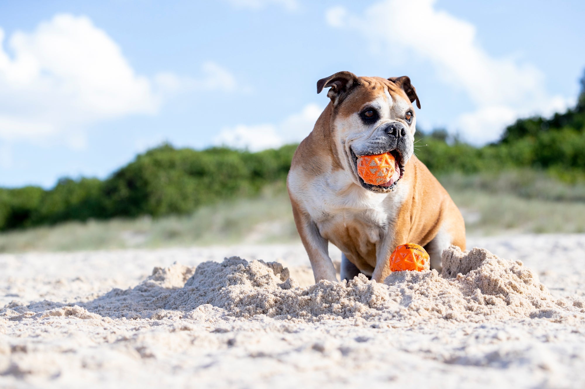 Waboba Woofgames Woofpack