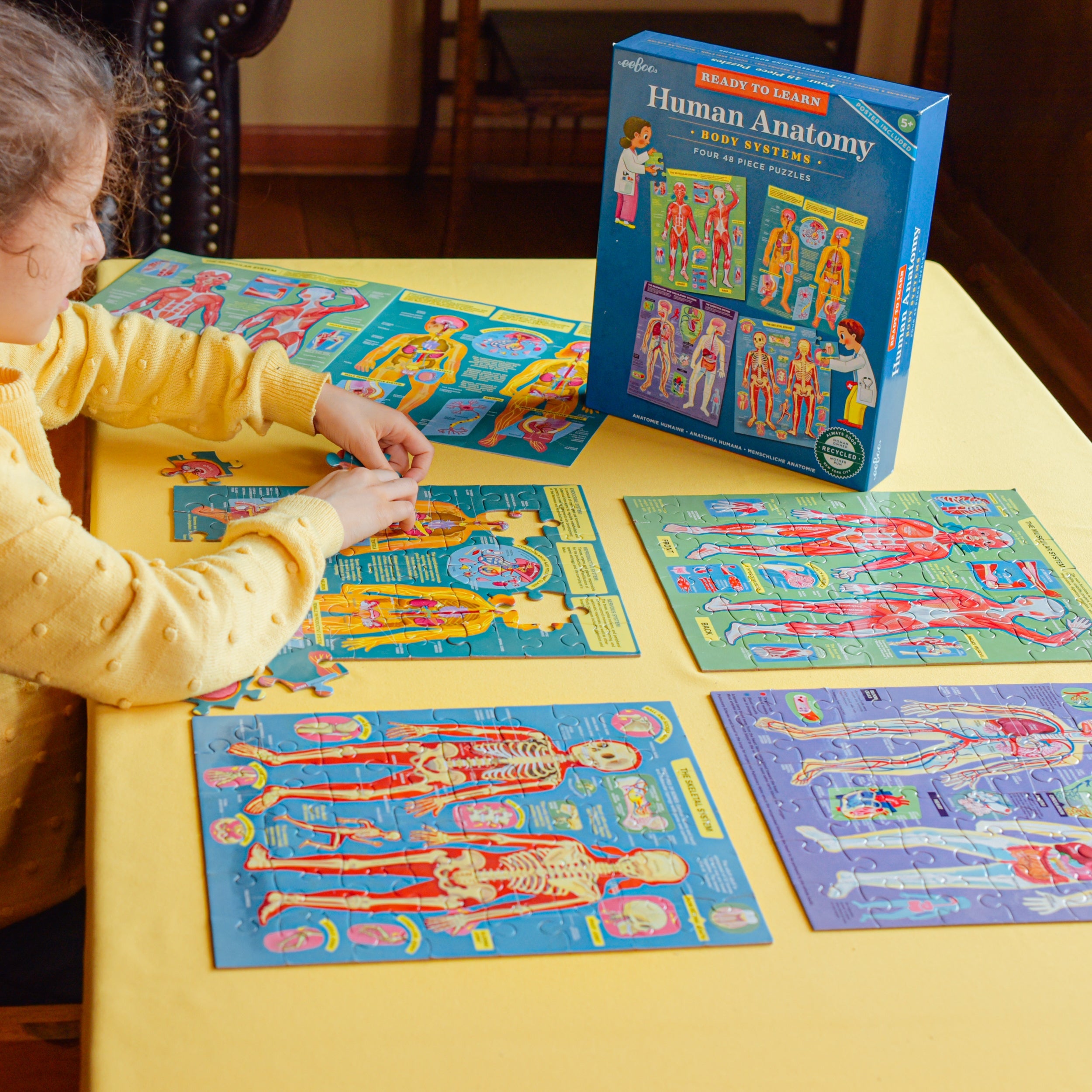 eeBoo 48pc Puzzle Ready to Learn- Human Anatomy Set